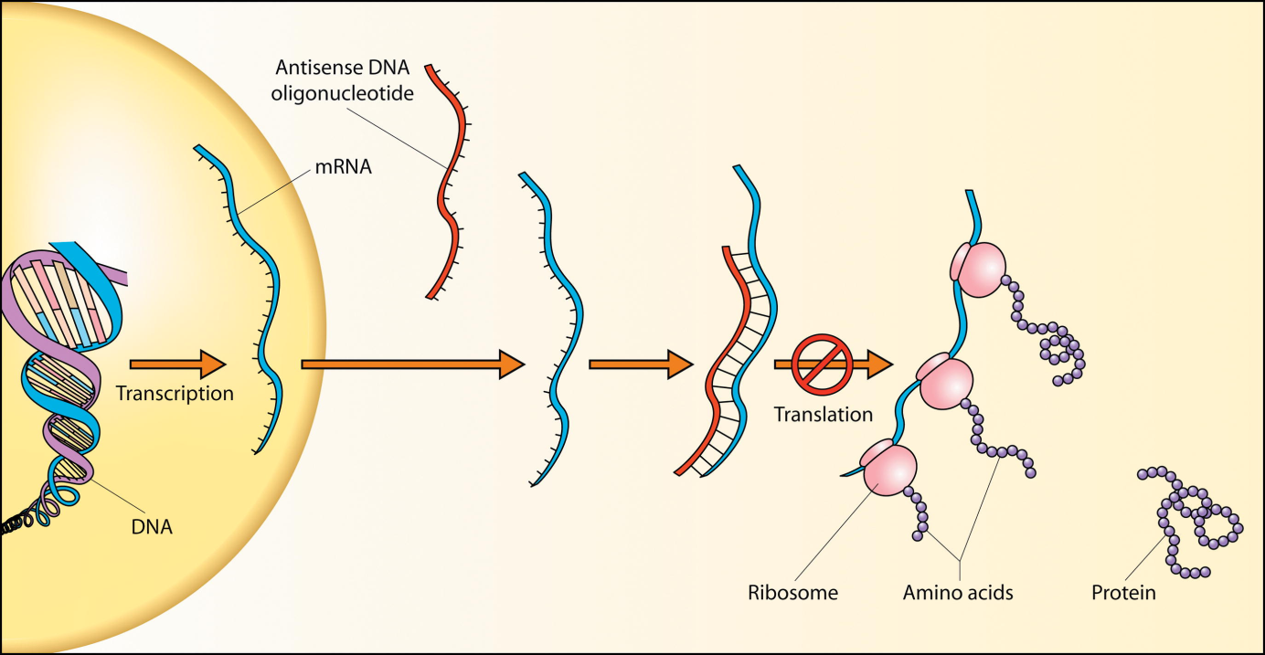Aramise - Essai clinique BIOGEN